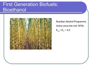 Biofuels Science Cafe main presentation 2008 | PPT
