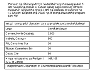 Epekto ng produksyon ng biofuels sa Pilipinas | PPT