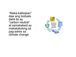 Epekto ng produksyon ng biofuels sa Pilipinas | PPT