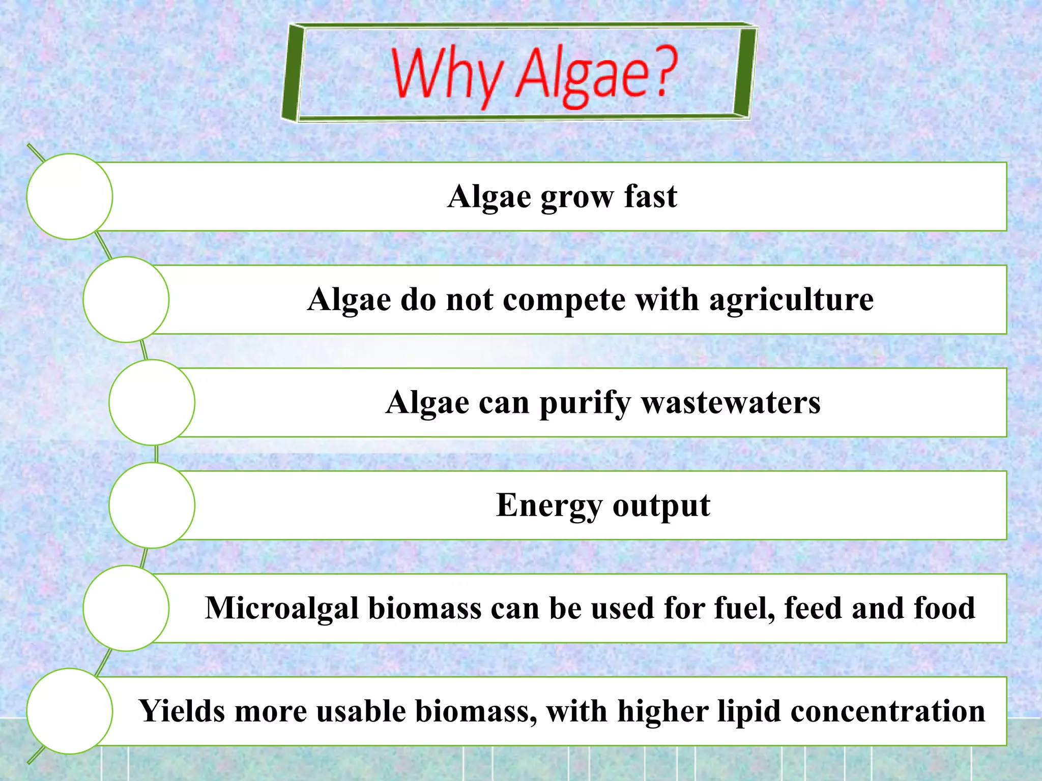 Biofuels & Biodiesel production from microalgae | PPTX
