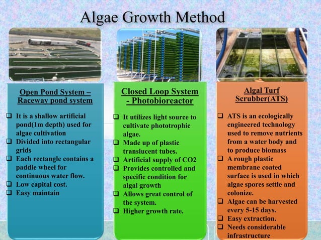 Biofuels & Biodiesel production from microalgae