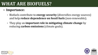 THE ECONOMICS OF BIOFUELS: THEORY AND PRACTICE | PPTX