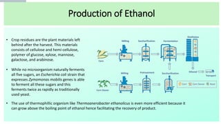 Bio fuels, production and limitations | PPSX