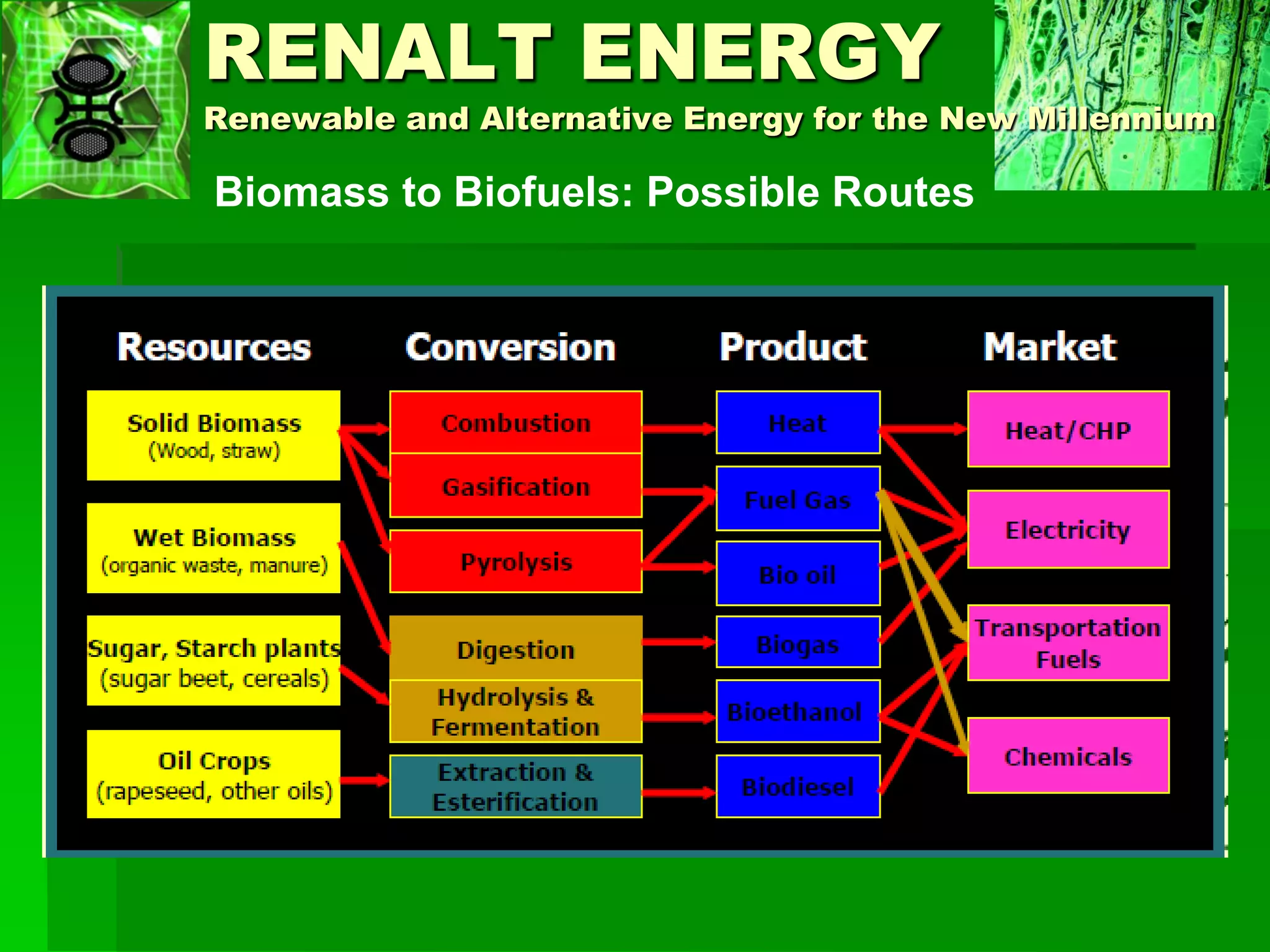 Biofuels Issues, Trends and Challenges | PDF