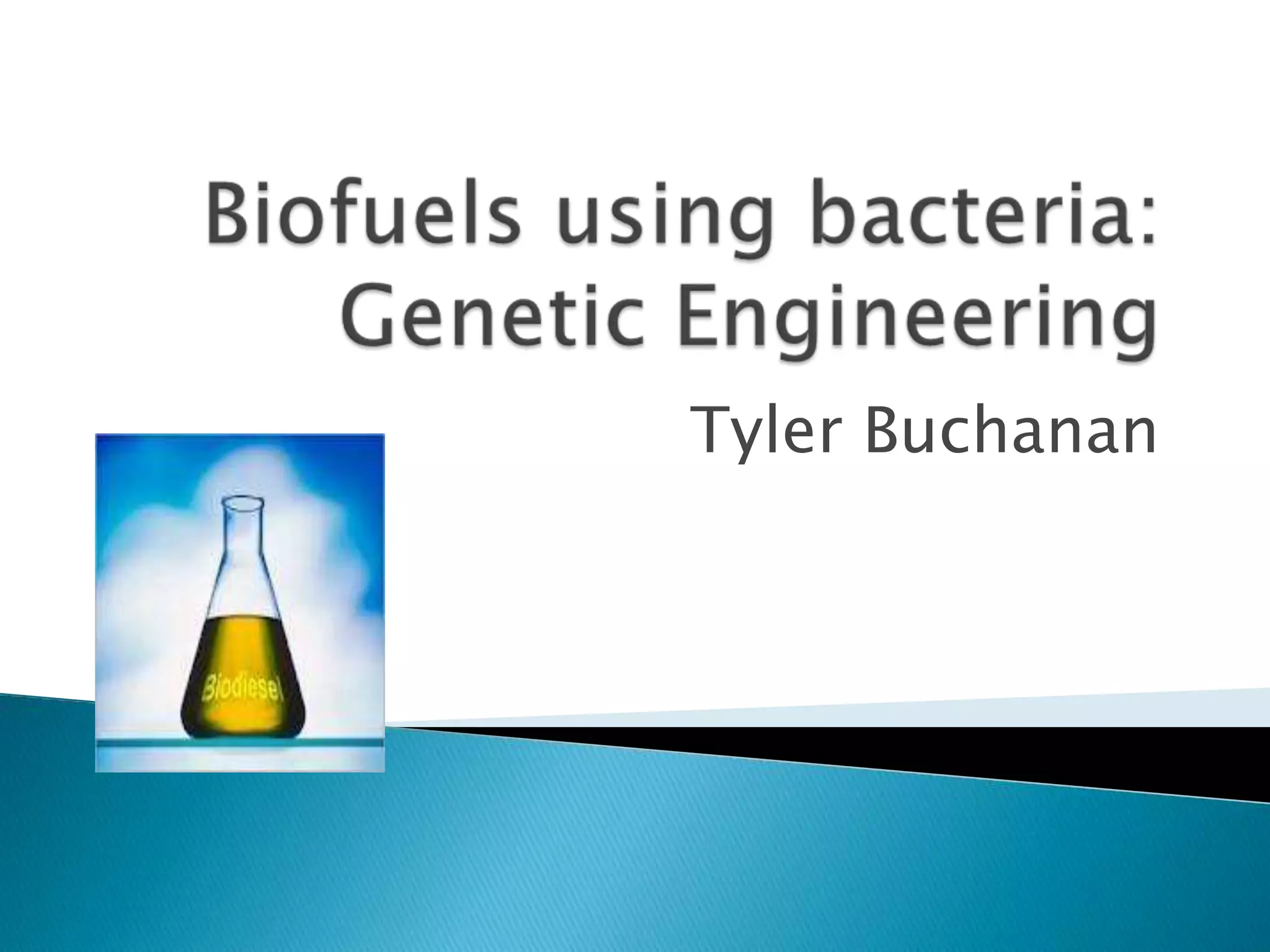 Biofuels using bacteria final | PPTX | Biotech and Biomedical Industry ...