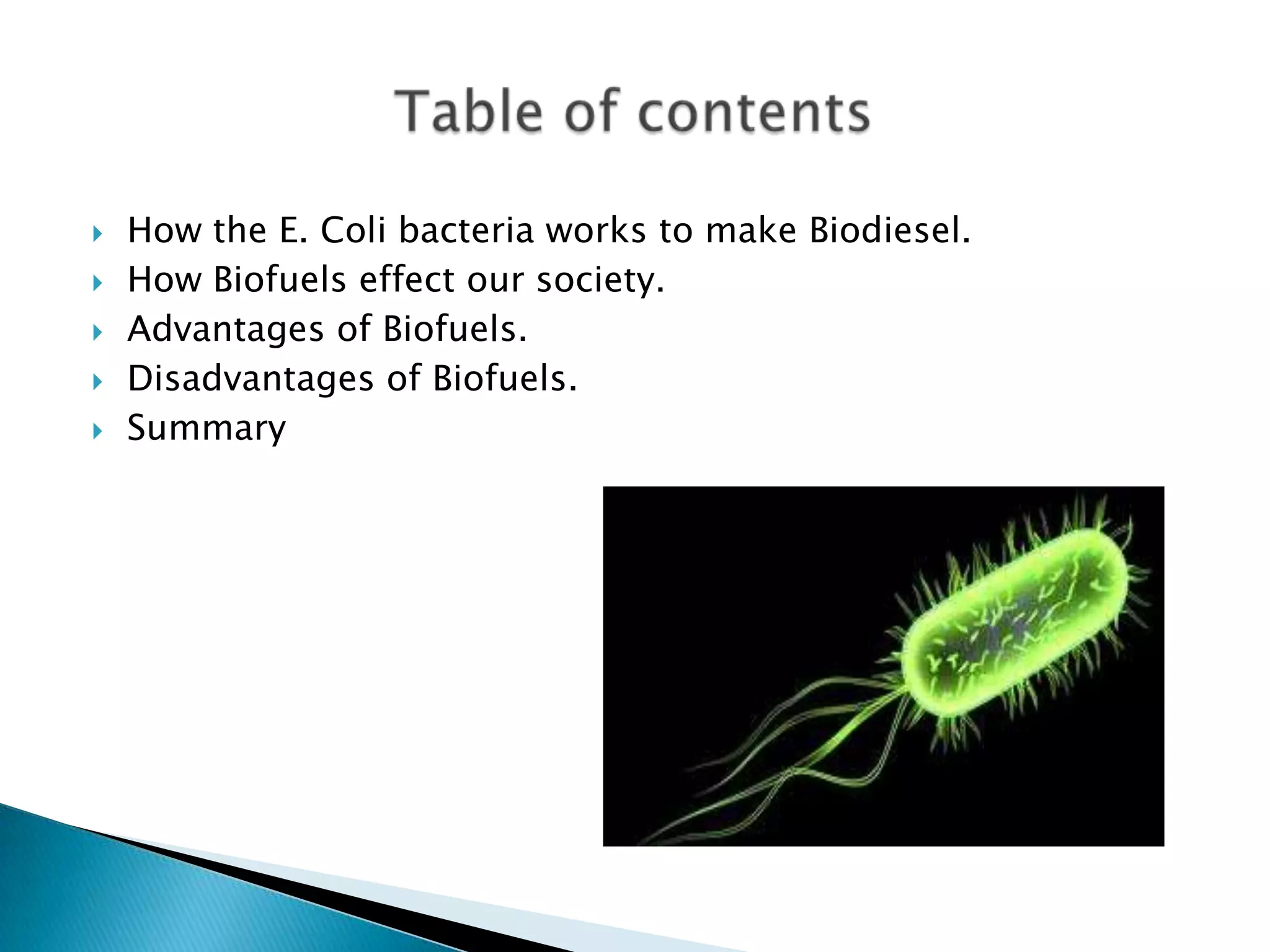 Biofuels using bacteria final | PPTX