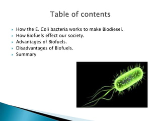 Biofuels using bacteria final | PPTX | Biotech and Biomedical Industry ...