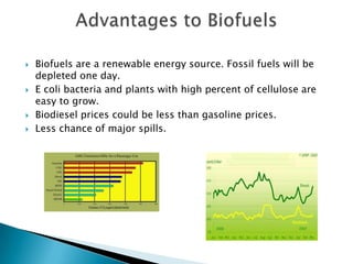 Biofuels using bacteria final | PPTX | Biotech and Biomedical Industry ...