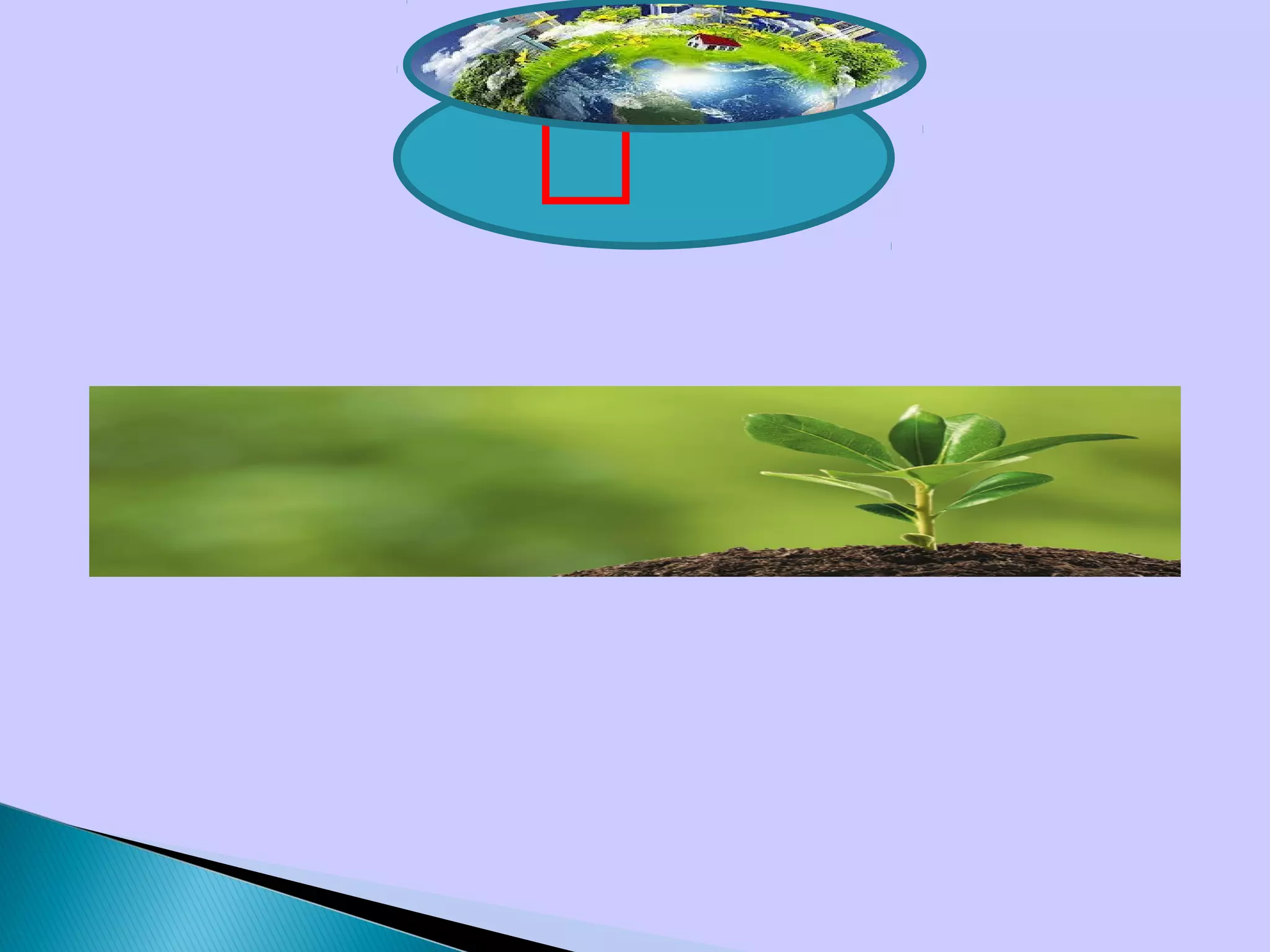 Bio fuel trees | PPT