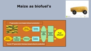 Biofules ppt | PPT