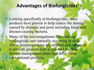 Biofungicide by vimalpriyasubramanian | PPTX