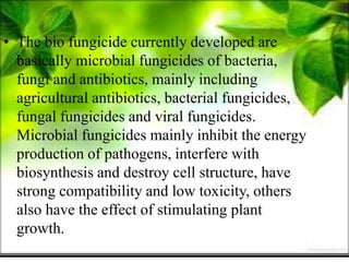 Biofungicide by vimalpriyasubramanian | PPTX