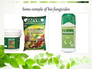 Biofungicide by vimalpriyasubramanian | PPTX