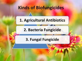 Biofungicide by vimalpriyasubramanian | PPTX