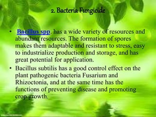 Biofungicide by vimalpriyasubramanian | PPTX