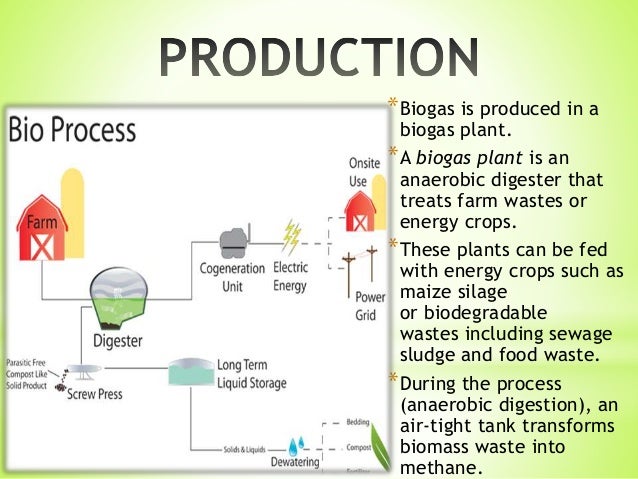 Biogas Composition