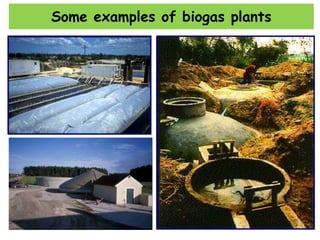 Biogas - Presentation | PPSX