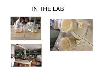 Biogas Lab | PPT