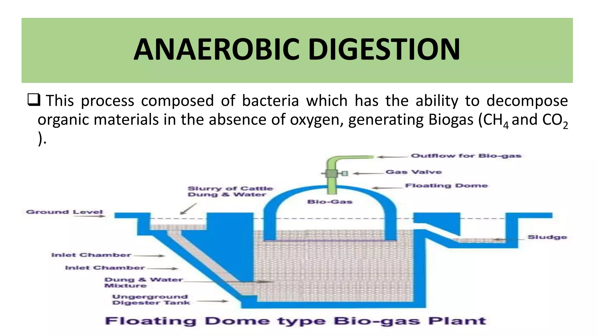 Bioenergy | PPT