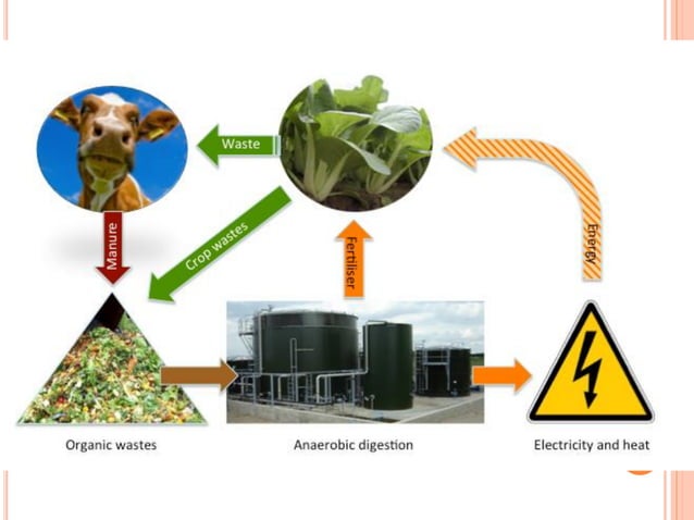 Biogas | PDF