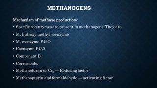 Biogas Production Technology . pptx | PPTX