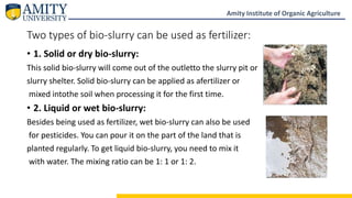 biogas%20plant.pptx jibhbbhbvvhhbbjnbbnnbh | PPT