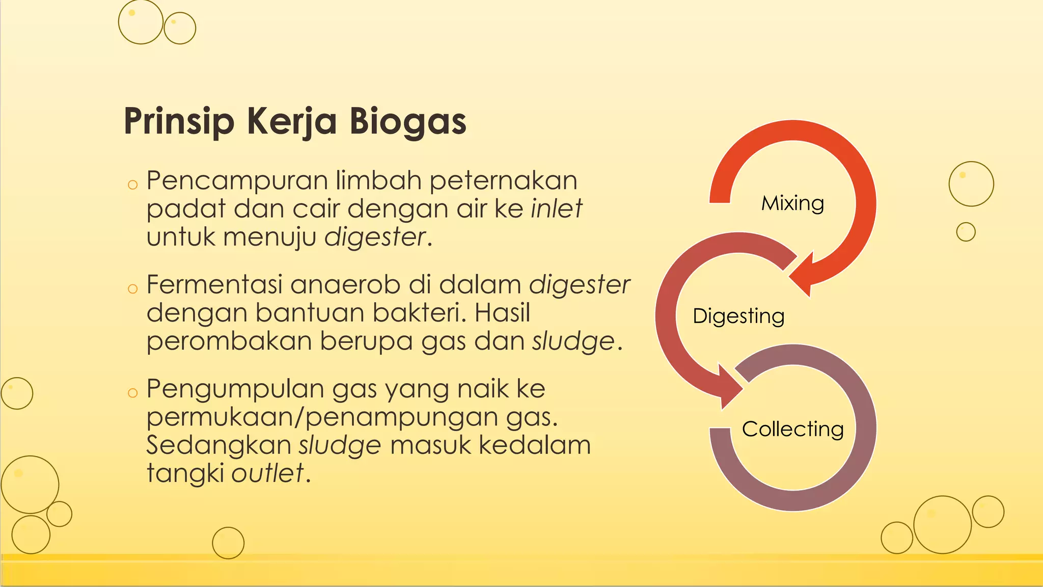 Proses Biogas Limbah Peternakan Sapi Potong (Biogas Process from Waste ...