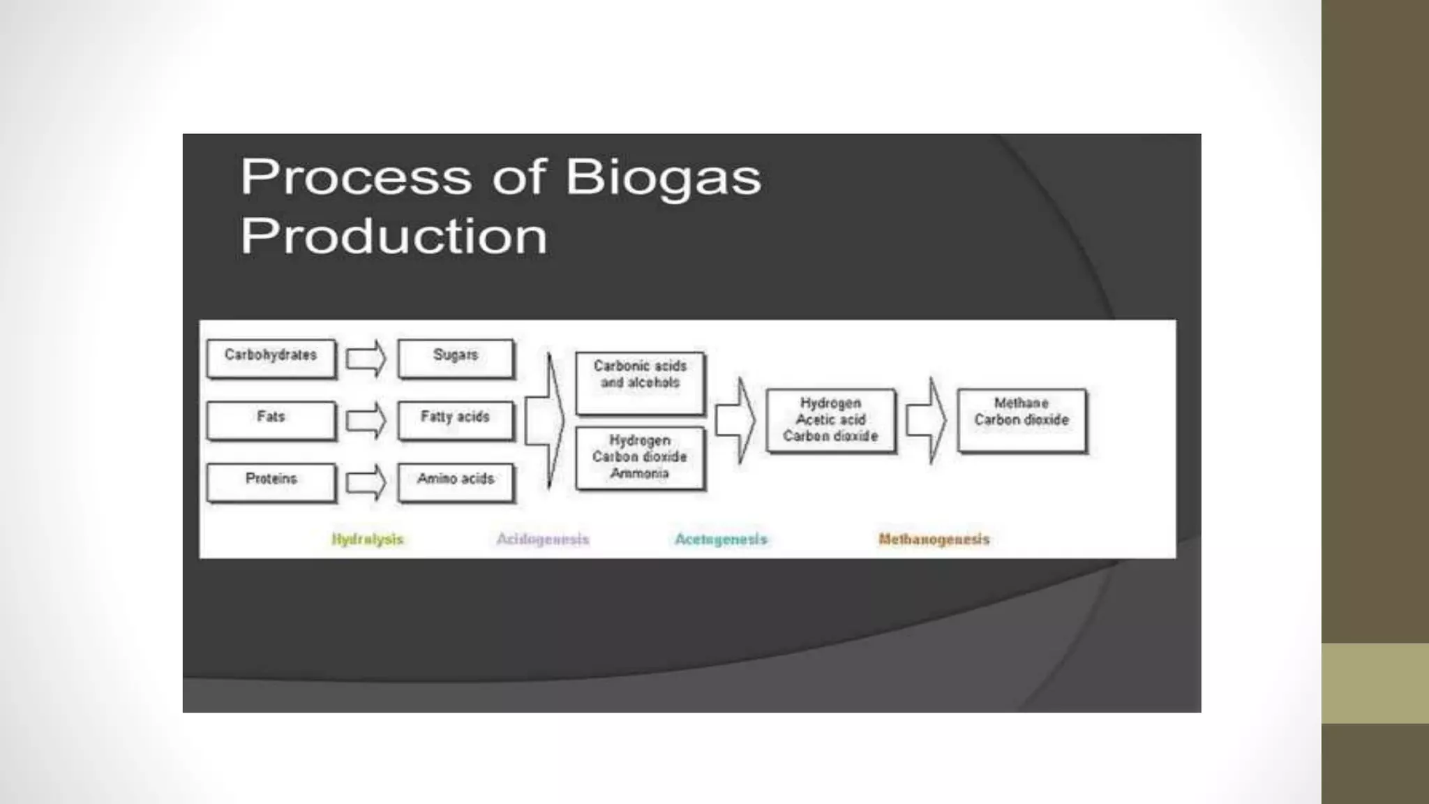biogas and biodiesel on industrial scale presentation.pptx