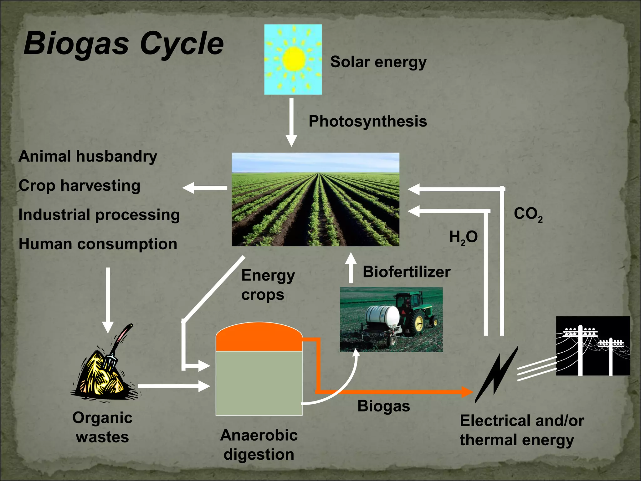 Biogas as a vehicle fuel | PDF