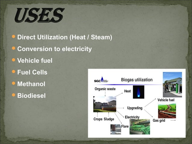 Biogas as a vehicle fuel | PDF | Chemistry | Science