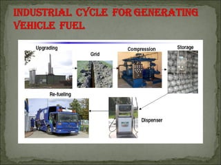 Biogas as a vehicle fuel | PDF | Chemistry | Science