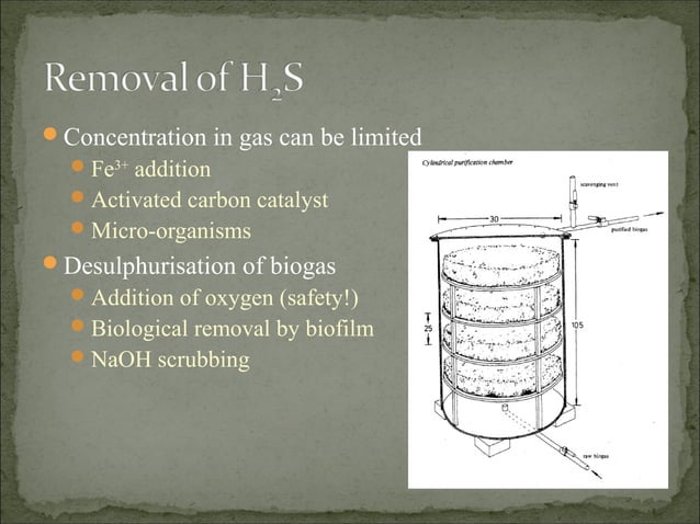 Biogas as a vehicle fuel | PDF | Chemistry | Science