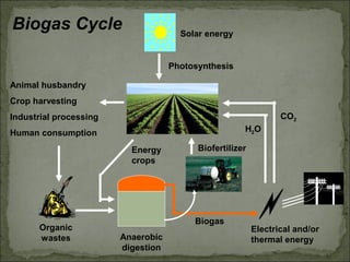 Biogas as a vehicle fuel | PDF | Chemistry | Science