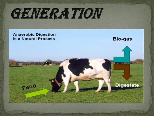 Biogas as a vehicle fuel | PDF | Chemistry | Science