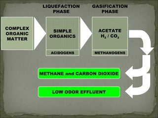 Biogas as a vehicle fuel | PDF | Chemistry | Science