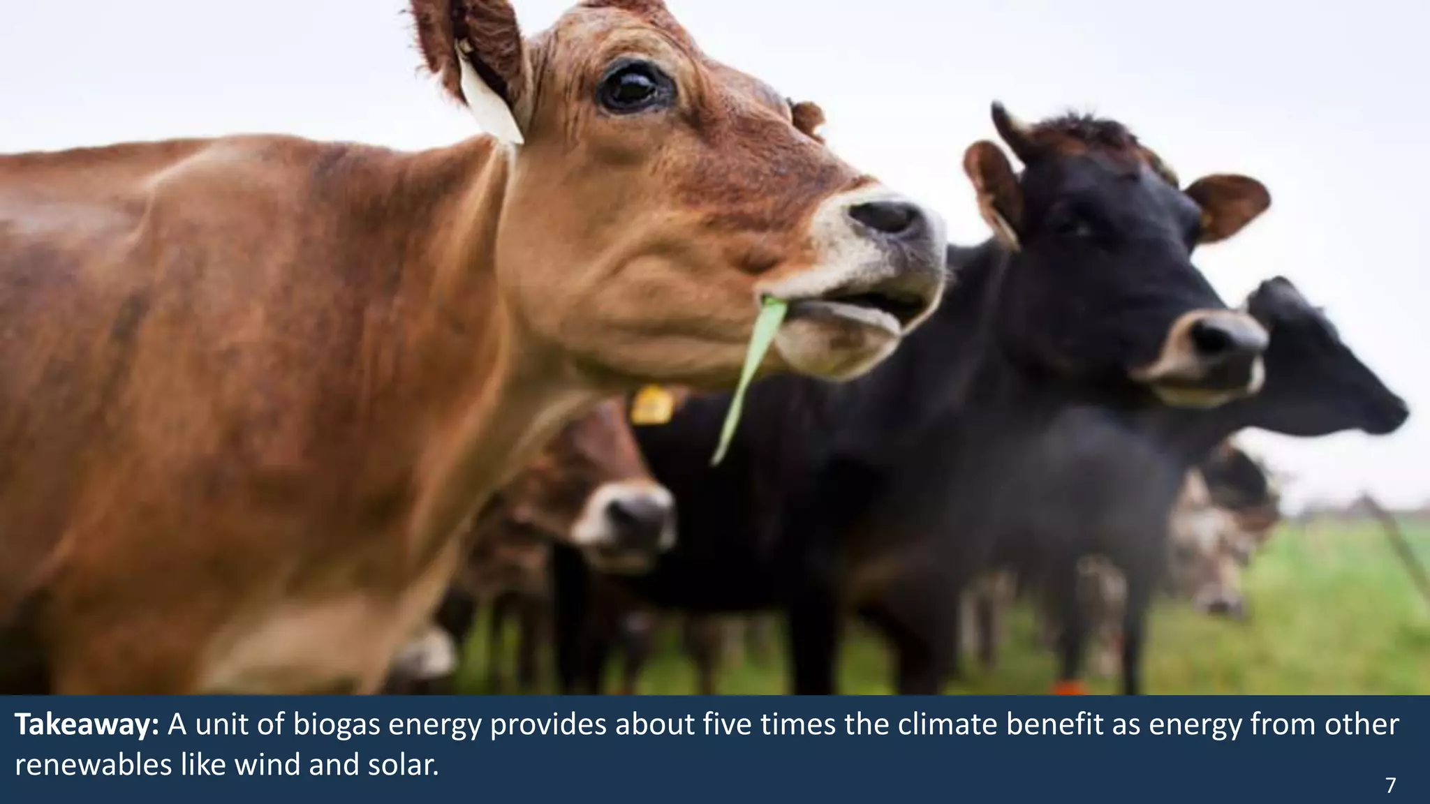 Biogas as Vehicle Fuel | PPTX