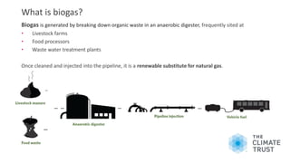Biogas as Vehicle Fuel | PPTX