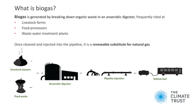 Biogas as Vehicle Fuel | PPTX