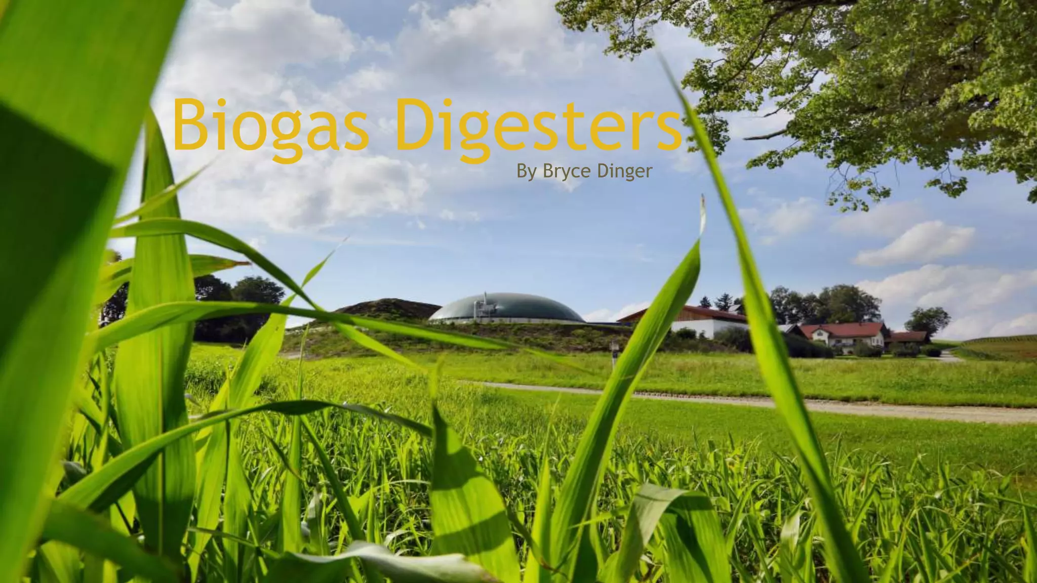 Biogas digesters 2 | PPTX