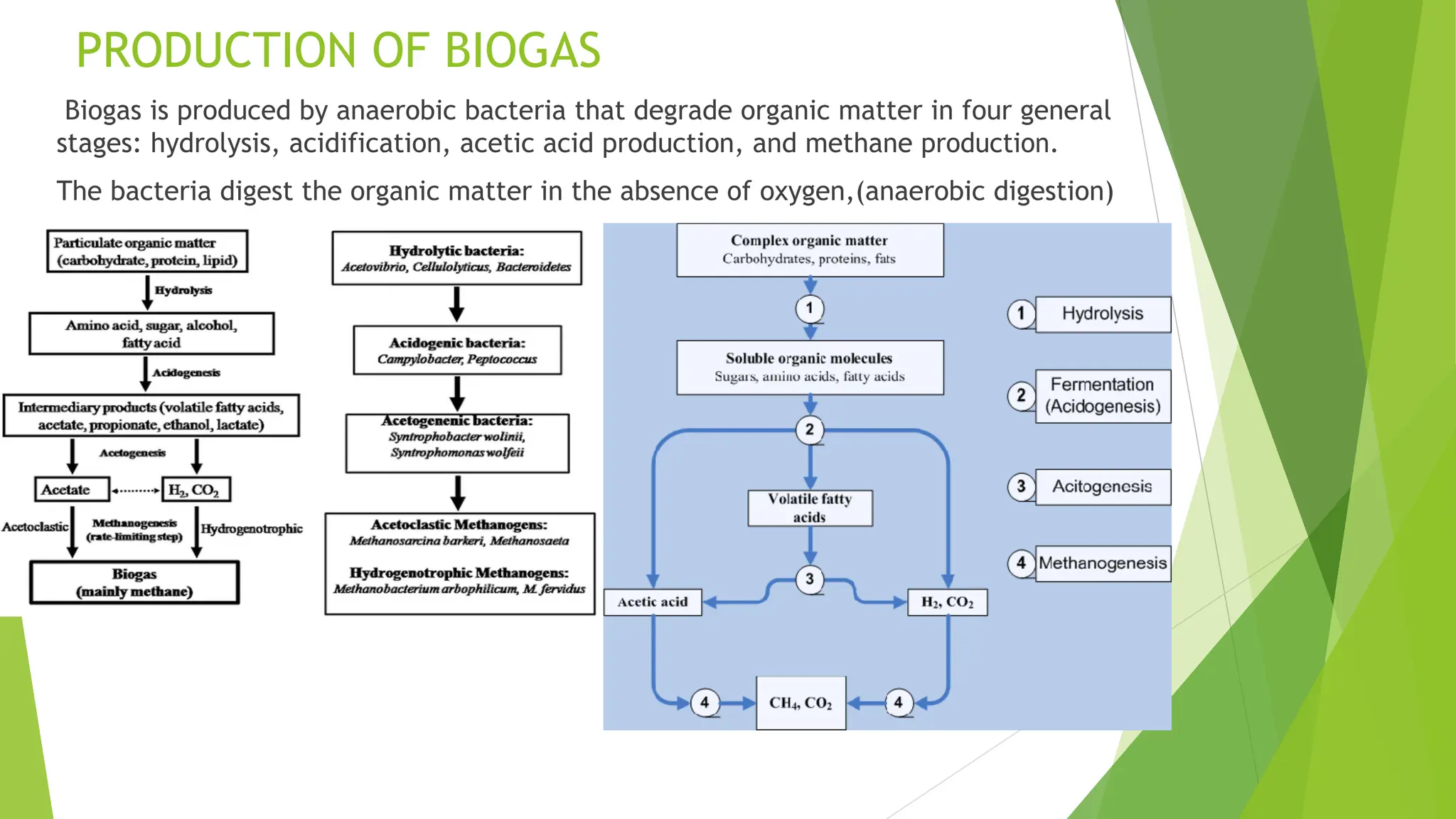 BIOGAS ENERGY GENERATION PRESENTATION.pdf