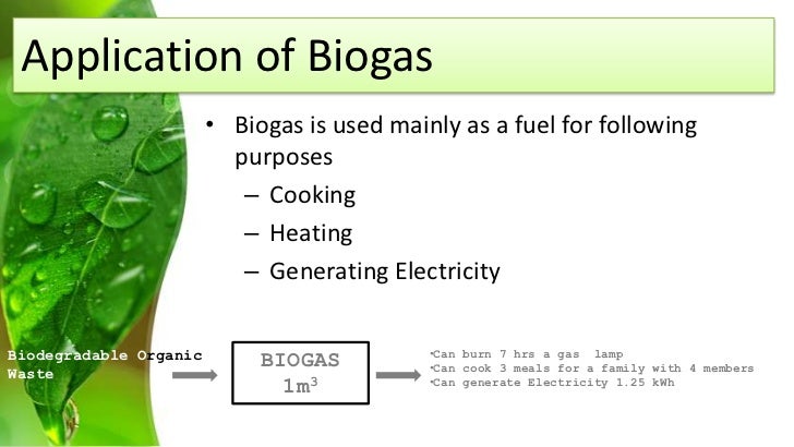 Biogas - Sustainability Through Green Energy