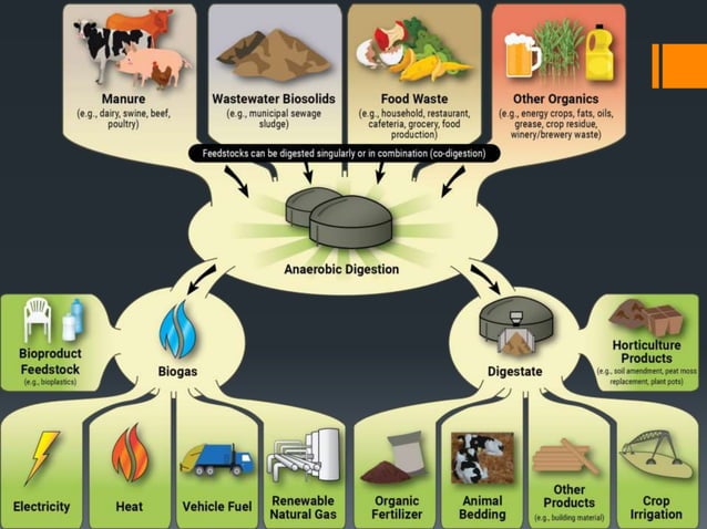 What is a biogas plant Types process advantages and disadvantages | PPT