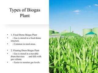 Biogas Plant and its natural generation .pptx
