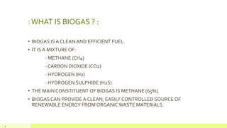 Biogas plant | PDF
