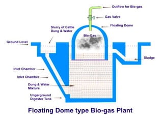 Biogas ppt | PPTX
