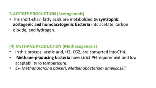 Biogas production | PPTX