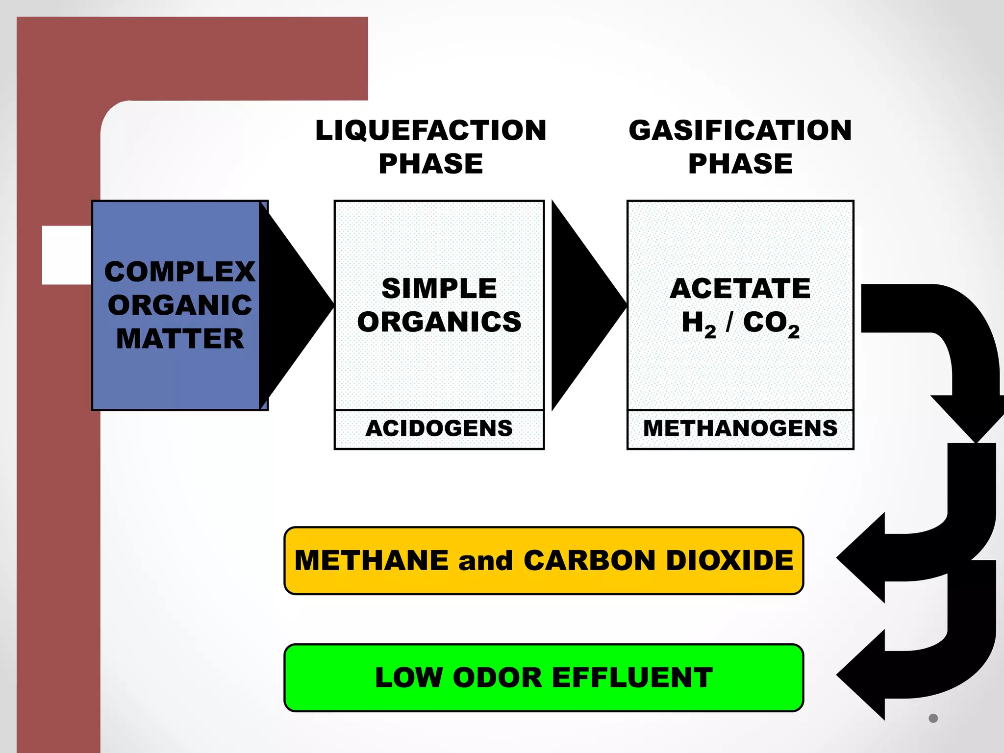 Bio gas principle of production | PPTX