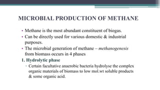 Biogas production | PPTX
