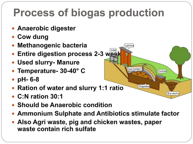 Production of Biogas | PPTX | Chemistry | Science