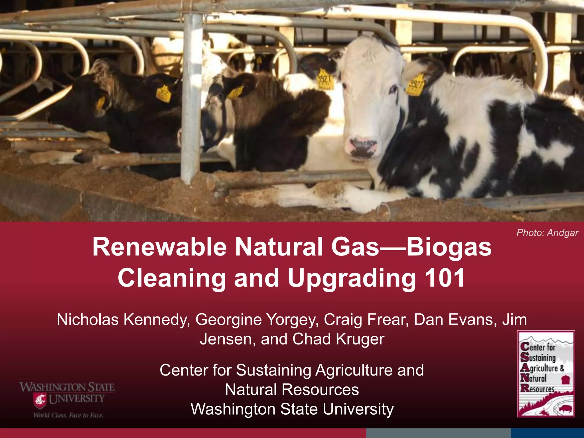 Renewable Natural Gas - Biogas Cleaning and Upgrading 101 | PPTX